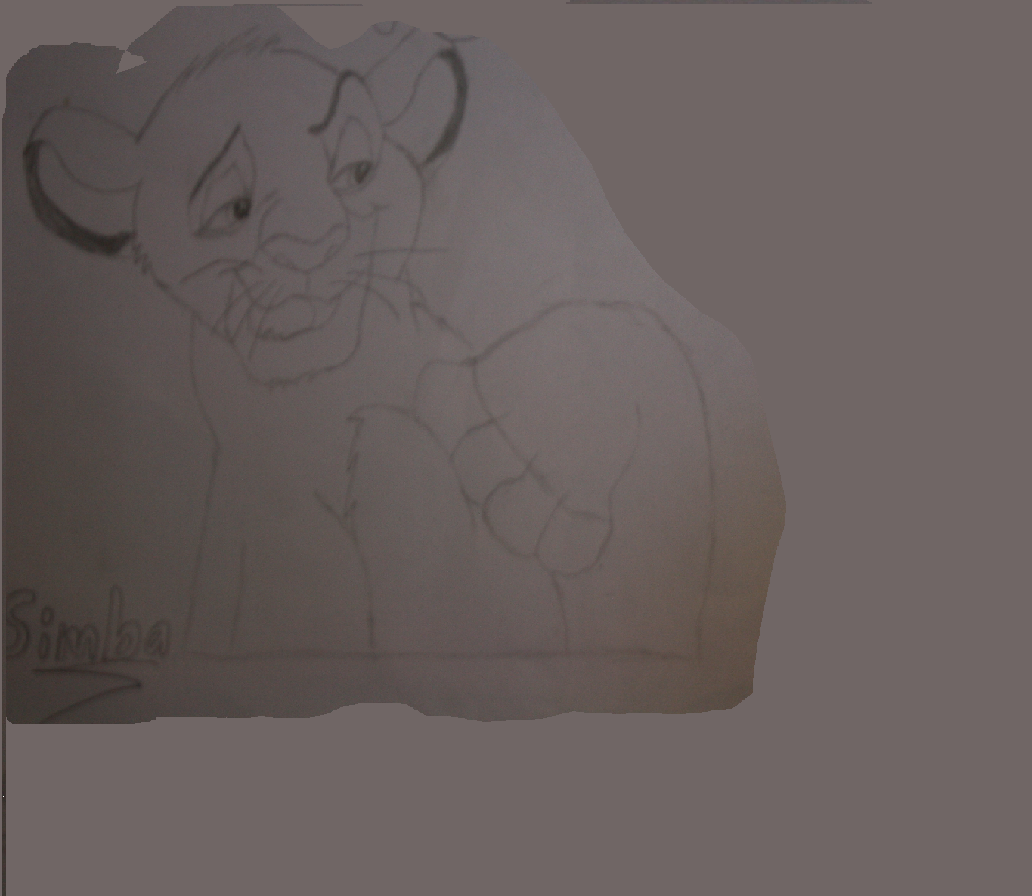 Cool simba « TheCubbieSimba's Album — Fan Art Albums of My Lion King