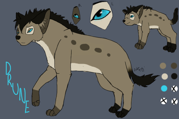 Drune Reference 2011 « Zoketi's Album — Fan Art Albums of My Lion King