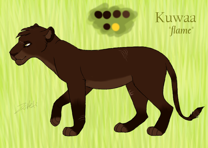 Kuwaa Reference 2014 « Zoketi's Album — Fan Art Albums of My Lion King